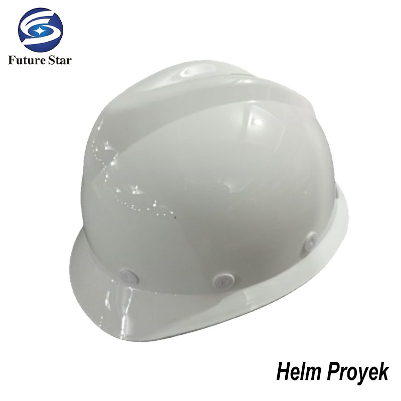 High Quality Safety Helmet Project Helmet - Future Star